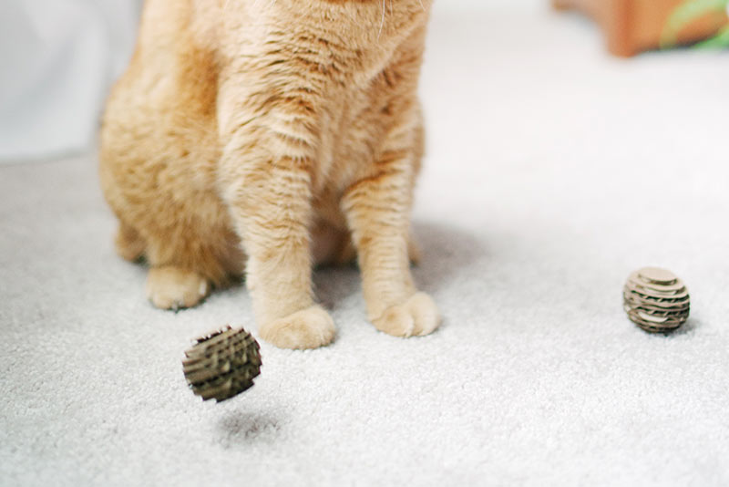 Cat Balls, Variety Pack - Made in USA | Americat Company
